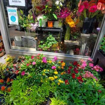 MATLES FLORIST - Updated October 2025 - 82 Photos & 96 Reviews - 329 W ...