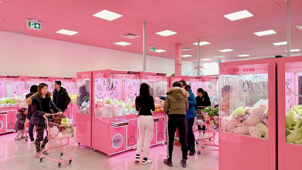 OCTO CLAW - Updated December 2025 - 30 Photos - 91 First Commerce Drive ...