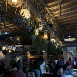 LEVEN DELI - Updated January 2026 - 1287 Photos & 833 Reviews - 123 W ...