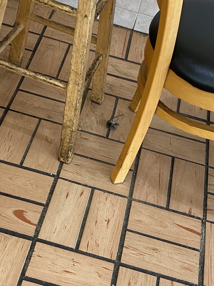 CHINA EAST - Updated April 2025 - 31 Photos & 35 Reviews - 1070 Middle ...