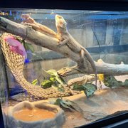 FLOATING SEA AQUATICS - 187 Photos & 27 Reviews - 8661 Old Kings Rd S ...