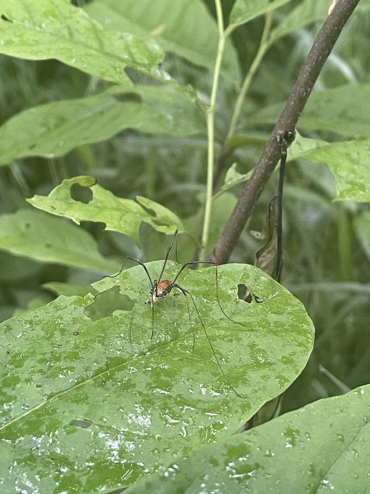 BANSHEE REEKS NATURE RESERVE - Updated October 2025 - 44 Photos & 12 ...
