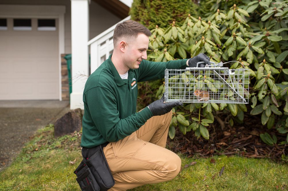 CAMPBELL NATURAL PEST CONTROL - Updated October 2025 - 33 Photos & 99 Reviews - 1720 NW Lovejoy ...