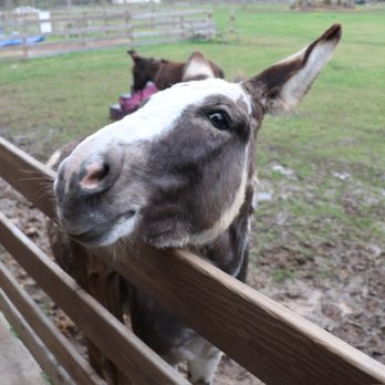 WATER STONE RANCH - Updated September 2025 - 172 Photos & 78 Reviews ...