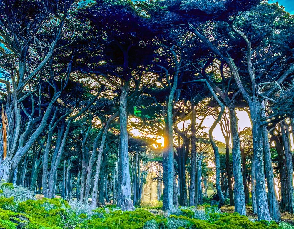 WEST FORT MILEY - Updated August 2025 - 24 Photos - El Camino Del Mar ...