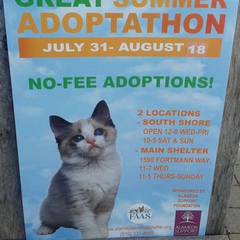 Alameda South Shore Center - 152 Photos & 71 Reviews - Shopping Centers ...