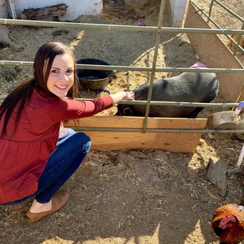 MCKEE RANCH - 336 Photos & 156 Reviews - 8982 Dean Martin Dr, Las Vegas ...