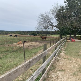 STEED’S DAIRY - Updated December 2025 - 119 Photos & 20 Reviews - 4634 ...