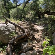 DRIPPING SPRINGS CAMPGROUND - 53 Photos & 38 Reviews - Campgrounds ...