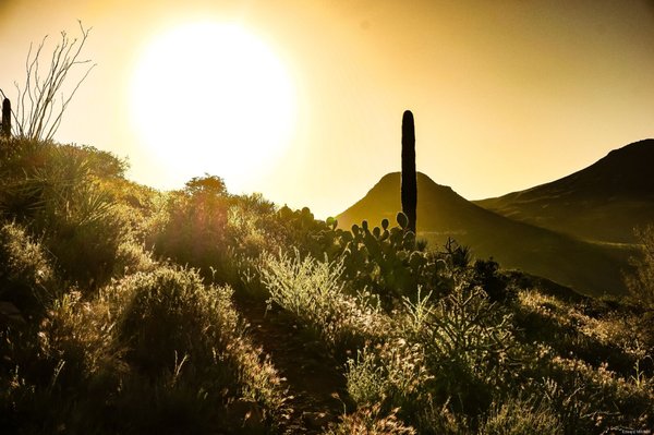 SPUR CROSS RANCH CONSERVATION AREA - Updated November 2024 - 19 Photos ...