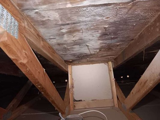 NORTHWEST CRAWL SPACE SERVICES - Updated December 2025 - 27 Photos & 13 ...