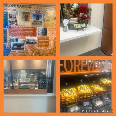 ARIZONA HUMANE SOCIETY - PAPAGO PARK CAMPUS - Updated July 2024 - 15 ...