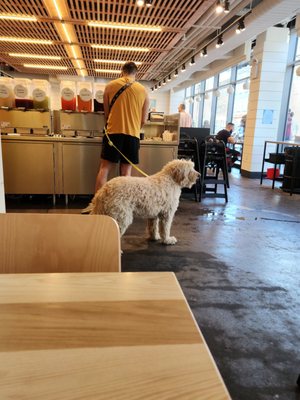 CAVA - Updated July 2025 - 38 Photos & 44 Reviews - 174 N 4th St ...