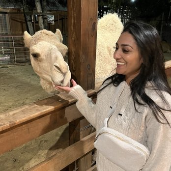 OAK MEADOW RANCH FEATURING THE WHITEHORSE STEAKHOUSE - Updated December ...