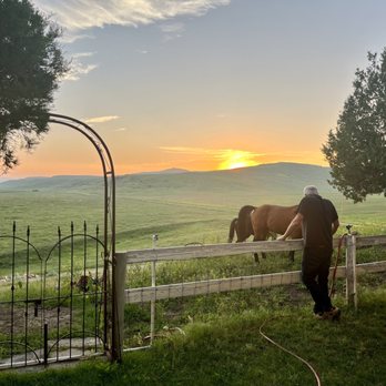 DRY CREEK WRANGLER SCHOOL - Updated January 2026 - 142 S R Buffalo ...