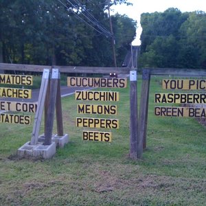 WINDY SPRINGS FARM - Updated July 2025 - 28 Photos - 1970 John Fries ...