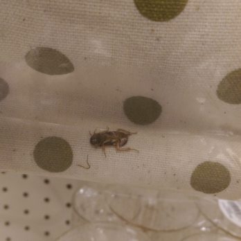 TARGET - Updated January 2025 - 108 Photos & 84 Reviews - 1951 W ...