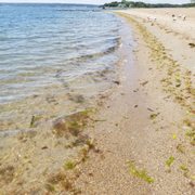 OAKLAND BEACH - 111 Photos & 55 Reviews - Parks - Oakland Beach Ave ...