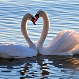 Kohl's Reviews | Read Customer Service Reviews of kohls.com