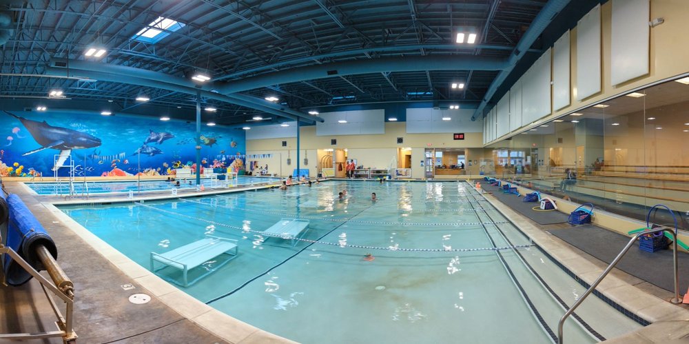 AMERICAN SWIM ACADEMY - 35 Photos & 170 Reviews - 37400 Cedar Blvd ...
