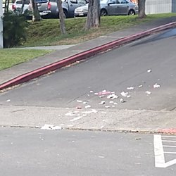 HONOLULU DISPOSAL SERVICE - 27 Photos & 35 Reviews - 1169 Mikole St ...