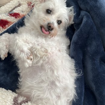 SAN GABRIEL ANIMAL HOSPITAL - Updated October 2025 - 144 Photos & 435 ...