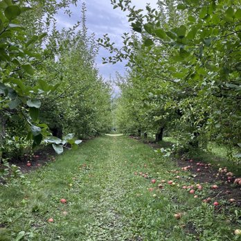 COUNTY LINE ORCHARD - Updated August 2024 - 518 Photos & 397 Reviews ...