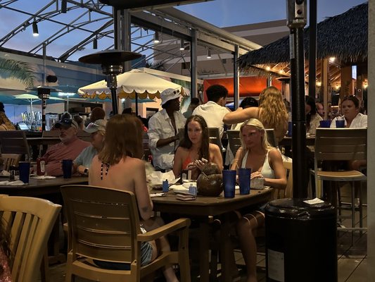 COCONUTS ON THE BEACH - Updated August 2024 - 1323 Photos & 1305 ...