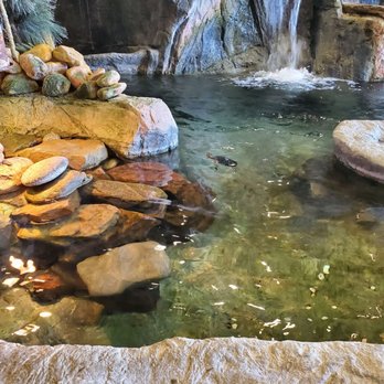 BASS PRO SHOPS - Updated October 2025 - 45 Photos & 27 Reviews - 5001 ...