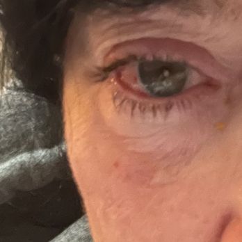 OCLI MANHASSET - Updated January 2026 - 12 Reviews - 1355 Northern ...