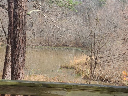 HARD LABOR CREEK STATE PARK - Updated August 2025 - 36 Photos & 24 ...