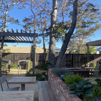 DUMPLING QUEEN - Updated November 2024 - 162 Photos & 75 Reviews - 424 ...