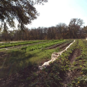 URBAN ROOTS FARM - Updated August 2025 - 67 Photos - 7651 Delwau Ln ...