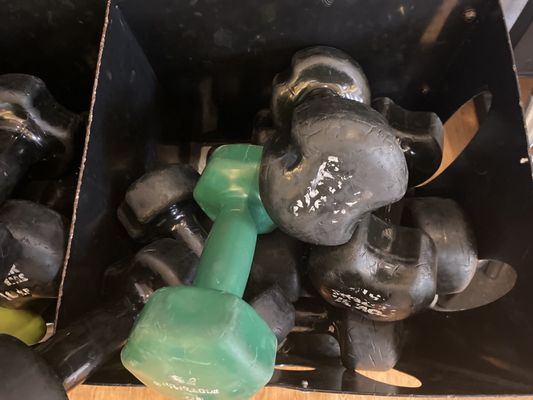 IN-SHAPE FITNESS - Updated January 2026 - 65 Reviews - 1502 N Main St ...