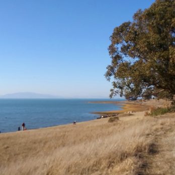 POINT PINOLE REGIONAL SHORELINE - Updated September 2025 - 678 Photos ...