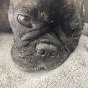 ANIMAL EYE GUYS - MIAMI BIRD ROAD - Updated December 2025 - 19 Photos ...