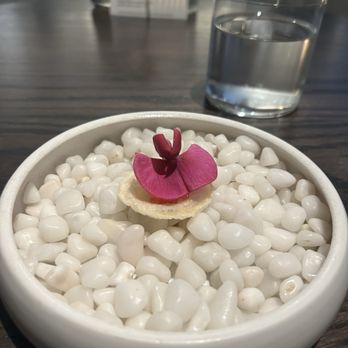 ANOMALY SF - Updated May 2025 - 1458 Photos & 228 Reviews - 2600 Sutter ...