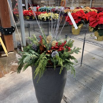LANOHA NURSERIES - Updated December 2025 - 30 Photos & 51 Reviews ...