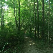 KICKAPOO STATE PARK - 33 Photos & 26 Reviews - 10906 Kickapoo Park Rd ...