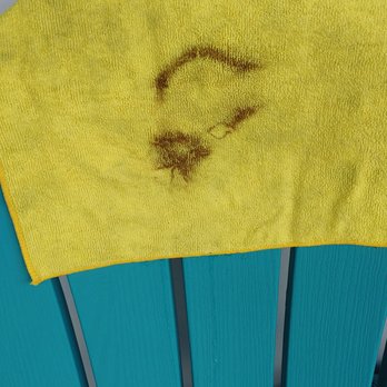 PROLINE MANAGEMENT - Updated December 2025 - 16 Photos & 10 Reviews ...