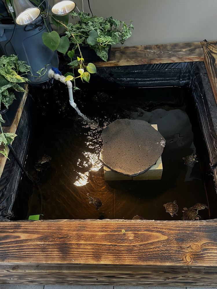 FISH PLUG - Updated December 2025 - 1028 Kinoole St, Hilo, Hawaii ...