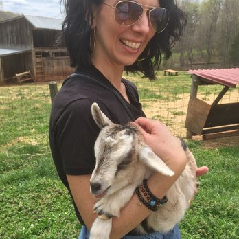 CAROMONT FARM - Updated January 2026 - 86 Photos - 9261 Old Green Mountain Rd, Esmont, Virginia ...