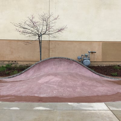 JOSEPH EMERY SKATEPARK - Updated January 2025 - 20 Photos - Emery St ...