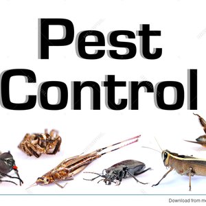 CLARK PEST CONTROL - 76 Photos & 79 Reviews - 2313 Research Dr ...