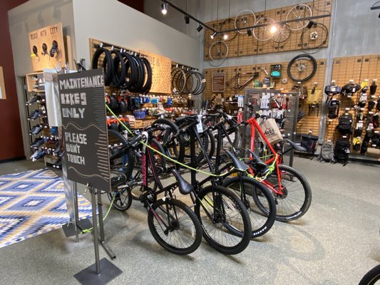 REI - Updated December 2025 - 50 Photos & 21 Reviews - 1600 Mall Of ...