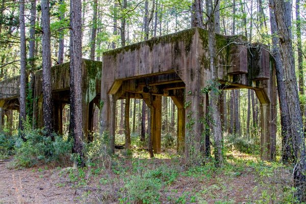 CADDO LAKE NATIONAL WILDLIFE REFUGE - Updated December 2025 - 14 Photos ...