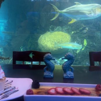 DIVE LOUNGE - Updated April 2025 - 207 Photos & 70 Reviews - 700 Water ...