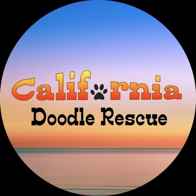 CALIFORNIA DOODLE RESCUE - Updated July 2025 - 63 Photos & 61 Reviews ...