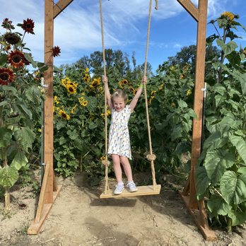 SCHILTER FAMILY FARM - Updated October 2025 - 158 Photos & 115 Reviews ...