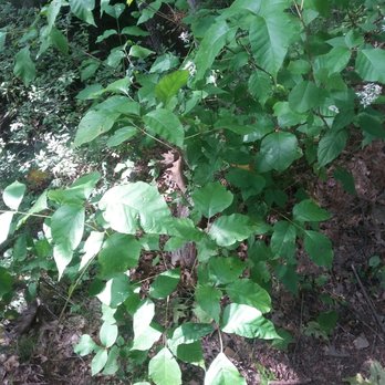 LIME KILN QUARRY - Updated September 2025 - Lime Kiln, Chelmsford ...